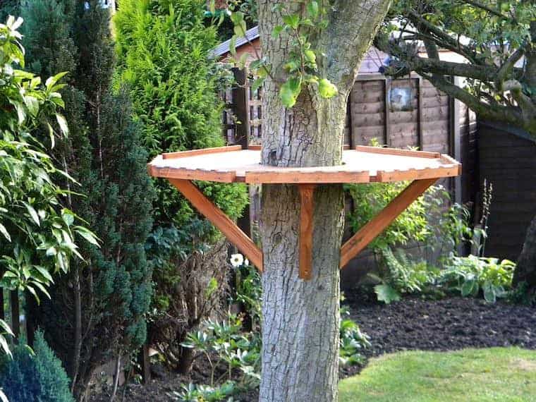 Wooden Feeding Bird Table